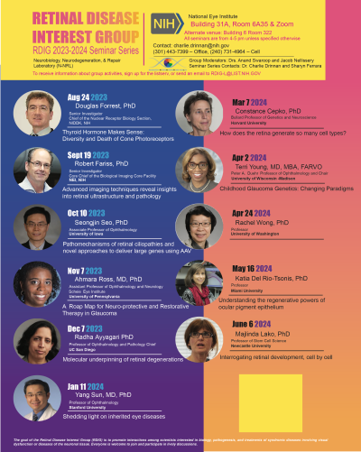 RDIG Flyer | National Eye Institute